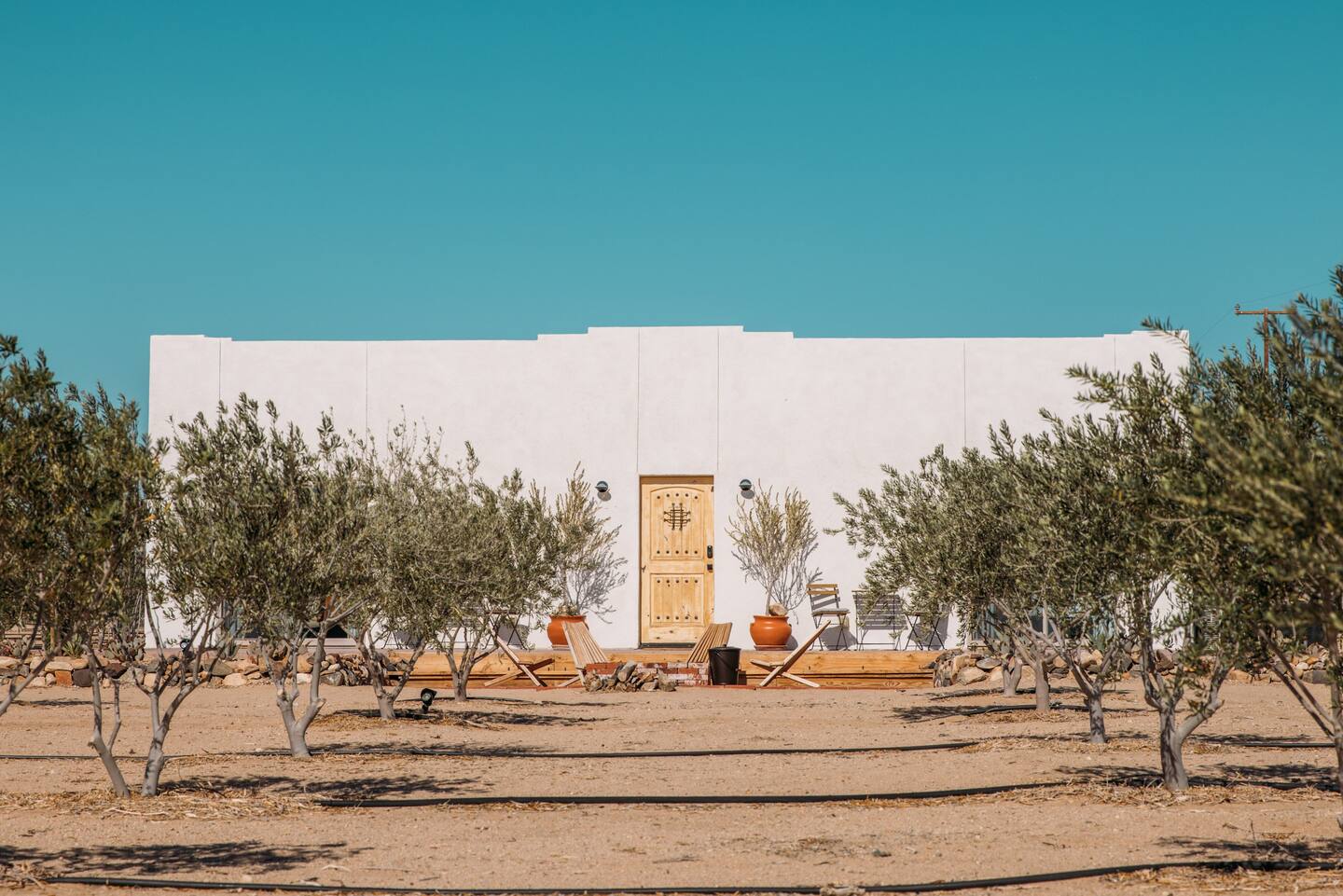Joshua Tree Olive Farm · Serenity, Spa, Views | Journey Rewards™